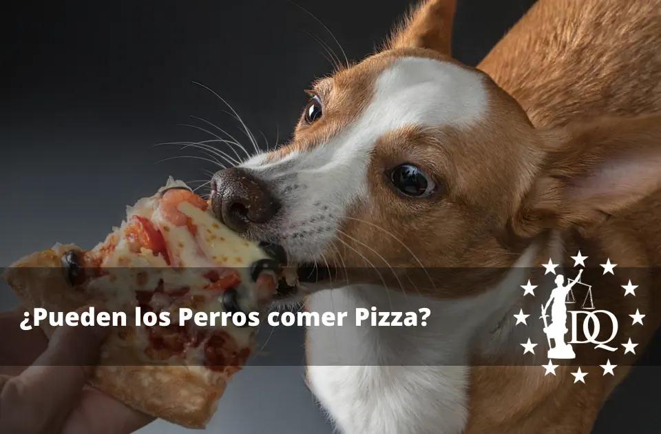 ¿los Perros Pueden Comer Pizza De Forma Segura? | Circolo Pizza